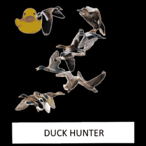 About - Howlers Hatchet House